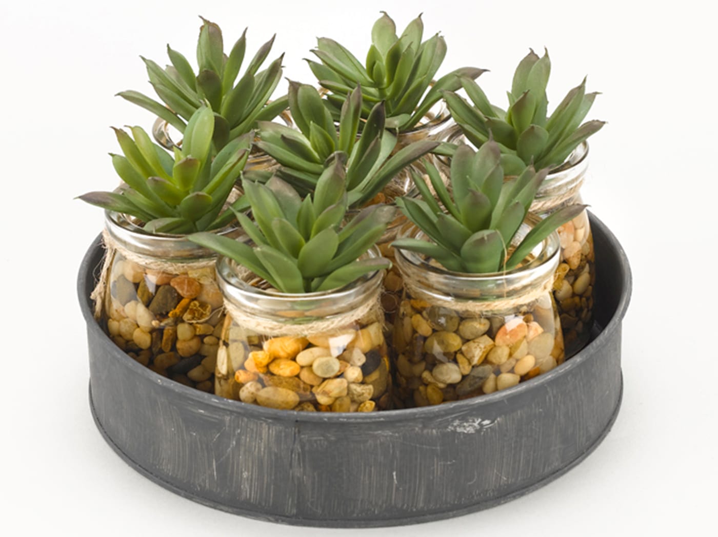 Mini Aloe Plants in Glass Jars on Metal Tray 8"W x 4.5"H | Steinhafels