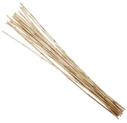 Natural Bamboo Sticks Bundle 7"W x 41"H | Steinhafels