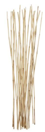 Natural Bamboo Sticks Bundle 7"W x 41"H | Steinhafels