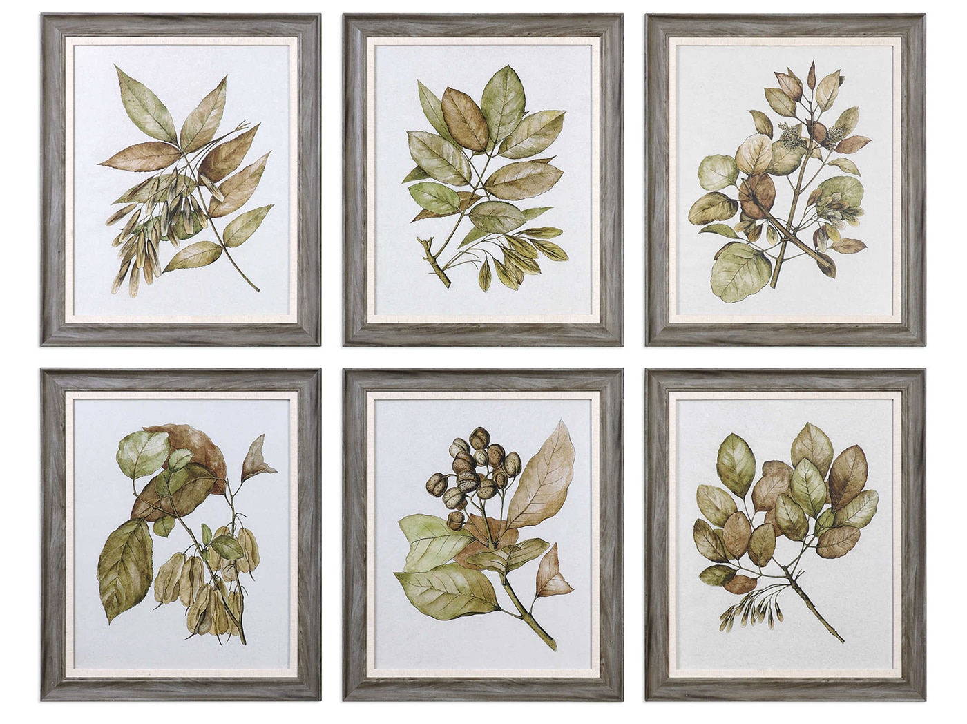 Set of 6 Botanical Framed Prints 20"W x 24"H | Steinhafels